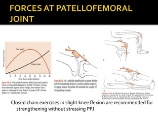 Forces on knee joint during activity | PPTX