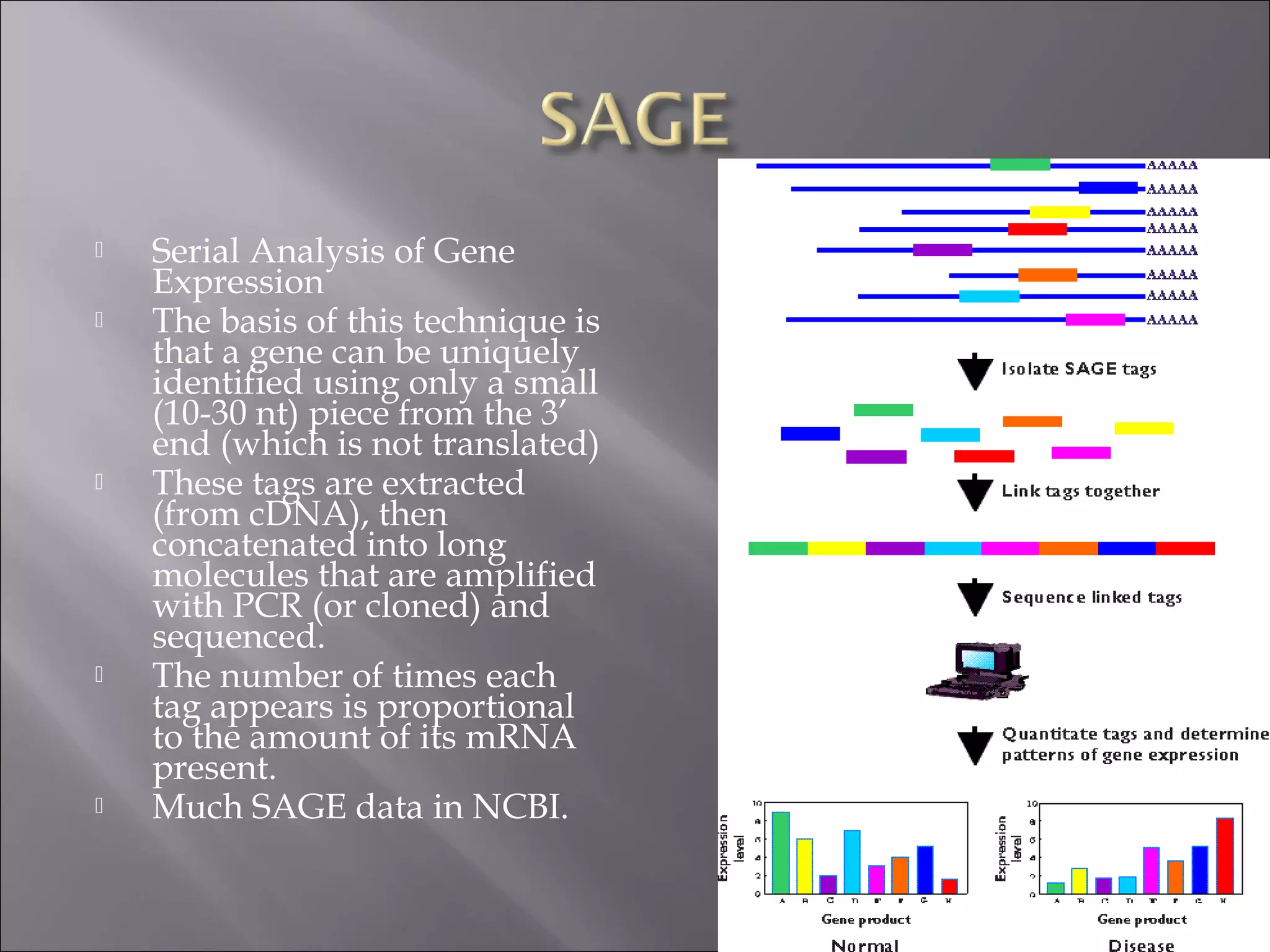 Analysis of gene expression | PPT