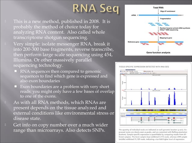 Analysis of gene expression | PPT | Chemistry | Science