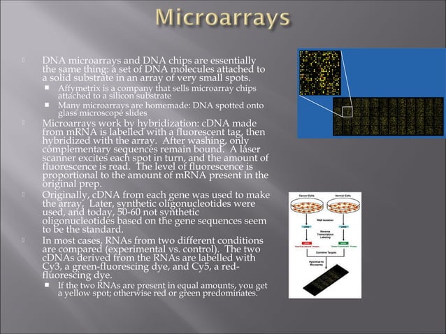 Analysis of gene expression | PPT | Chemistry | Science