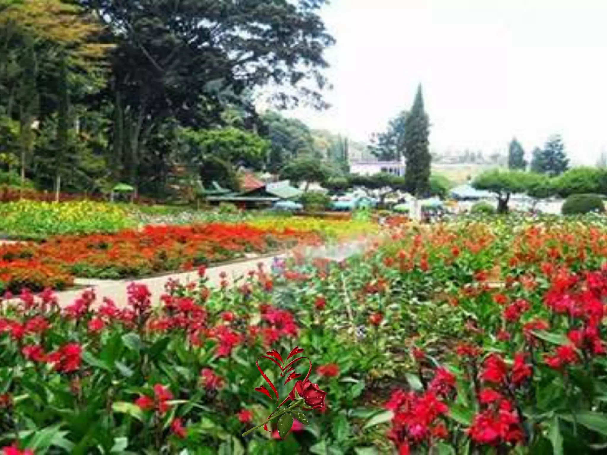 Analysis of Intrinsic Elements: Figurative Languages (Metaphor and ...