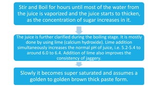 Analysis of jaggery | PPTX