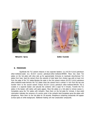 Analysis of lipids in egg yolk | DOCX