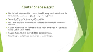 Analysis of pancreas histological images for glucose intollerance ...