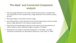 Analysis of pancreas histological images for glucose intollerance ...