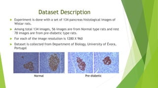 Analysis of pancreas histological images for glucose intollerance ...
