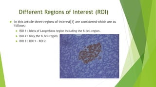Analysis of pancreas histological images for glucose intollerance ...