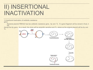 Analysis of recombinants.pptx