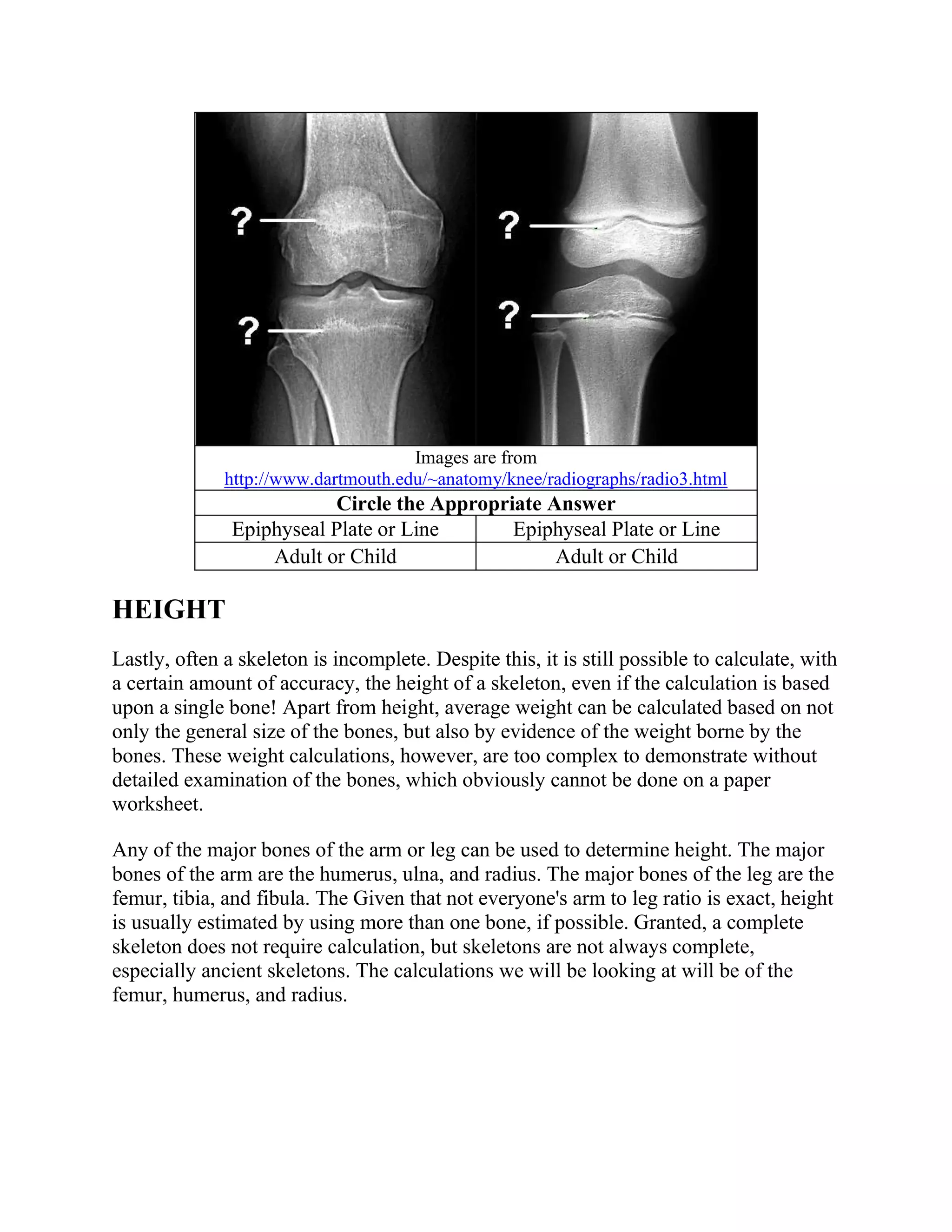 Analysis of Skeletal Remains.docx