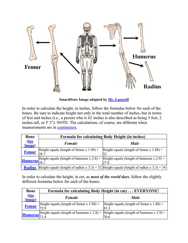 Analysis of Skeletal Remains.docx | Geology | Science