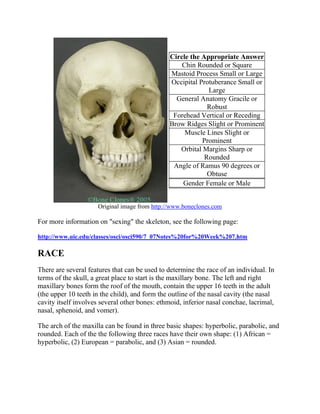 Analysis of Skeletal Remains.docx | Geology | Science