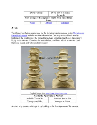 Analysis of Skeletal Remains.docx