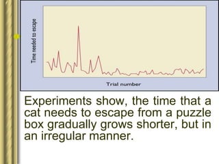 Analysis of Thorndike experiment.pdf