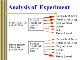 Analysis of Thorndike experiment.pdf