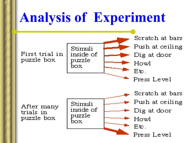 Analysis of Thorndike experiment.pdf