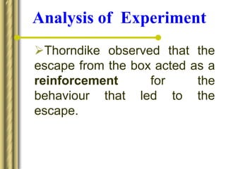 Analysis of Thorndike experiment.pdf