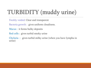 Analysis of urine.pdfsehsrtusrsrsrtsrystru | PDF