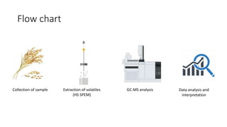 Analysis of volatile compounds by GCMS reveals their.pptx