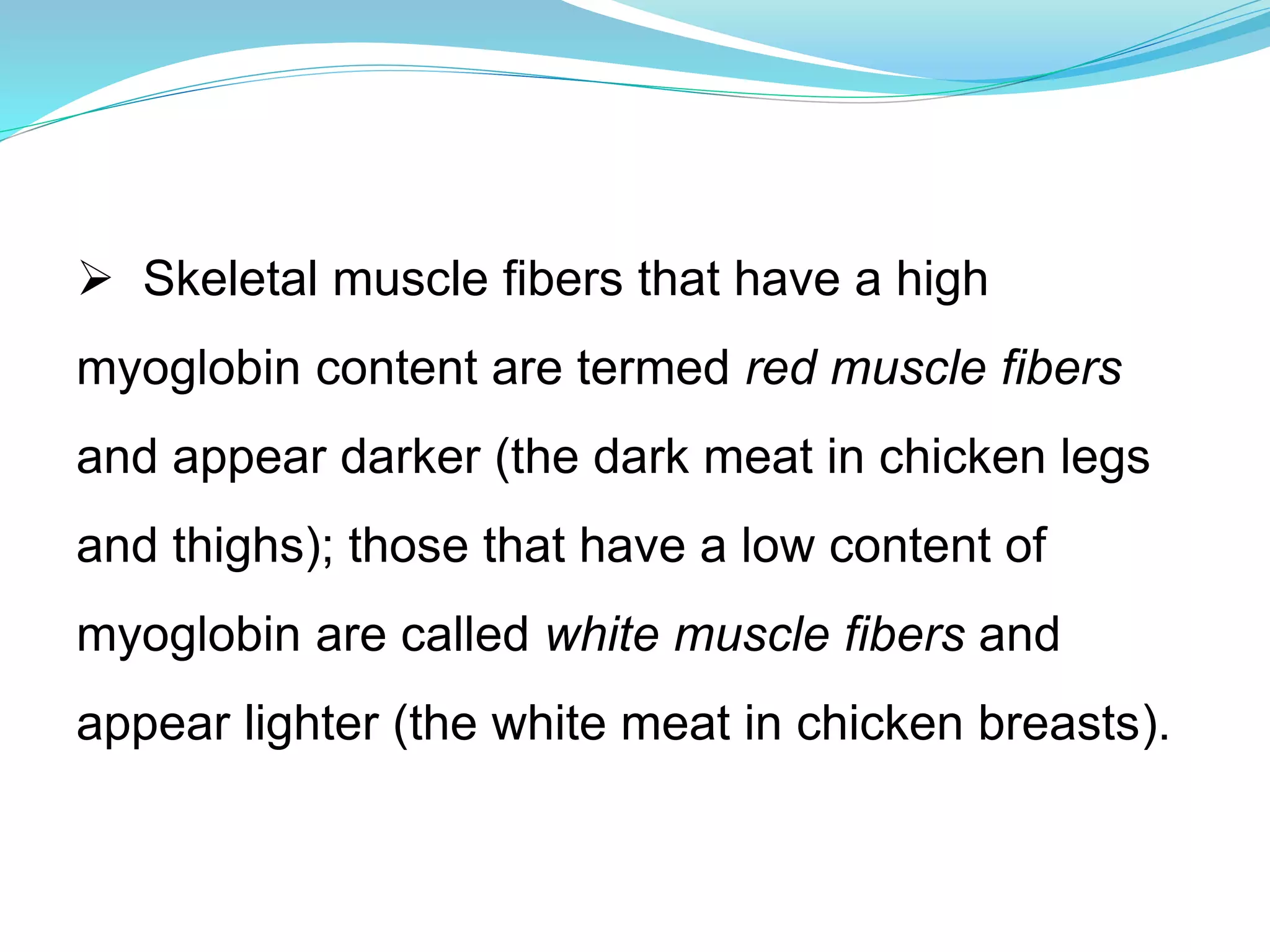 Types of Skeletal Muscle Fibers | PPTX