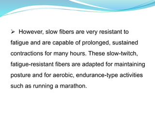 Types of Skeletal Muscle Fibers | PPTX