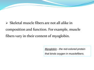 Types of Skeletal Muscle Fibers | PPTX