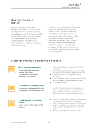 scopeKM: Text analysis with Triples | PDF