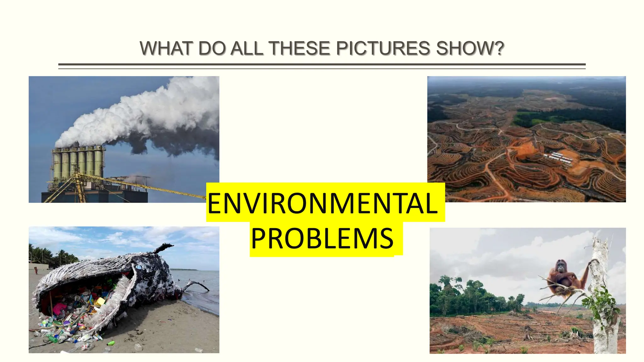 ANALYTICAL EXPOSITION PPT ; ENVIRONMENTAL PROBLEMS | PPTX