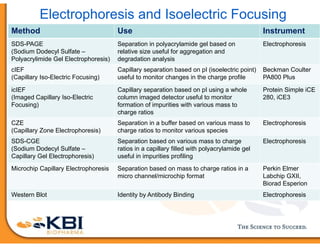 Analytical methods for therapeutic antibody characterization ...