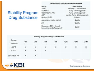 Analytical methods for therapeutic antibody characterization ...