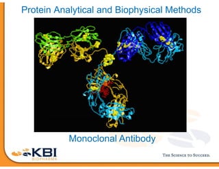 Analytical methods for therapeutic antibody characterization ...
