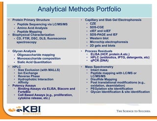Analytical methods for therapeutic antibody characterization ...