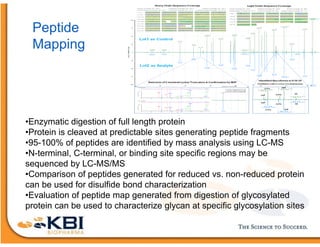 Analytical methods for therapeutic antibody characterization ...