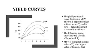 Analytical model | PPTX