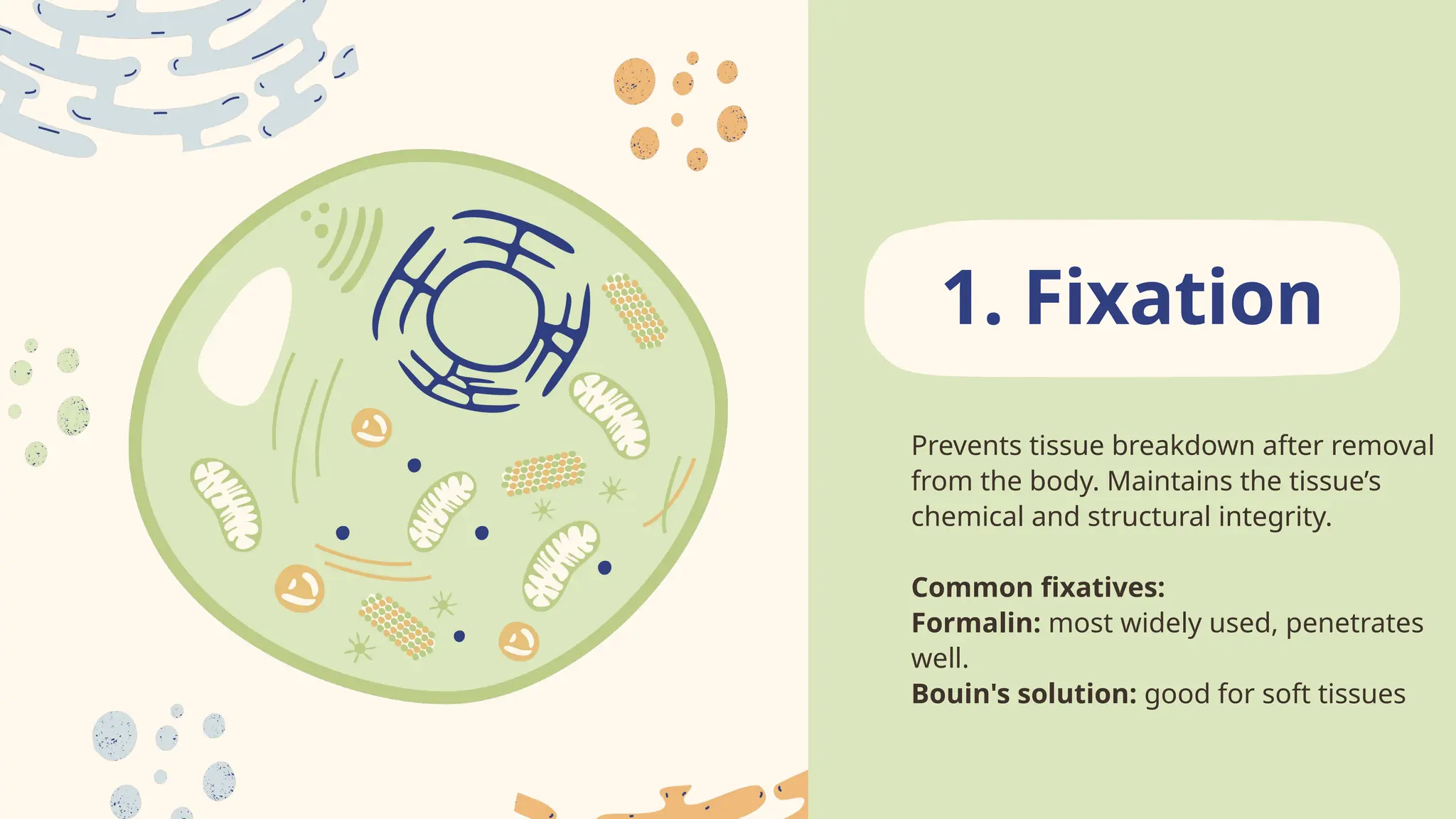 Analytical present Introduction to Histotechnique and Tissue Staining.pptx