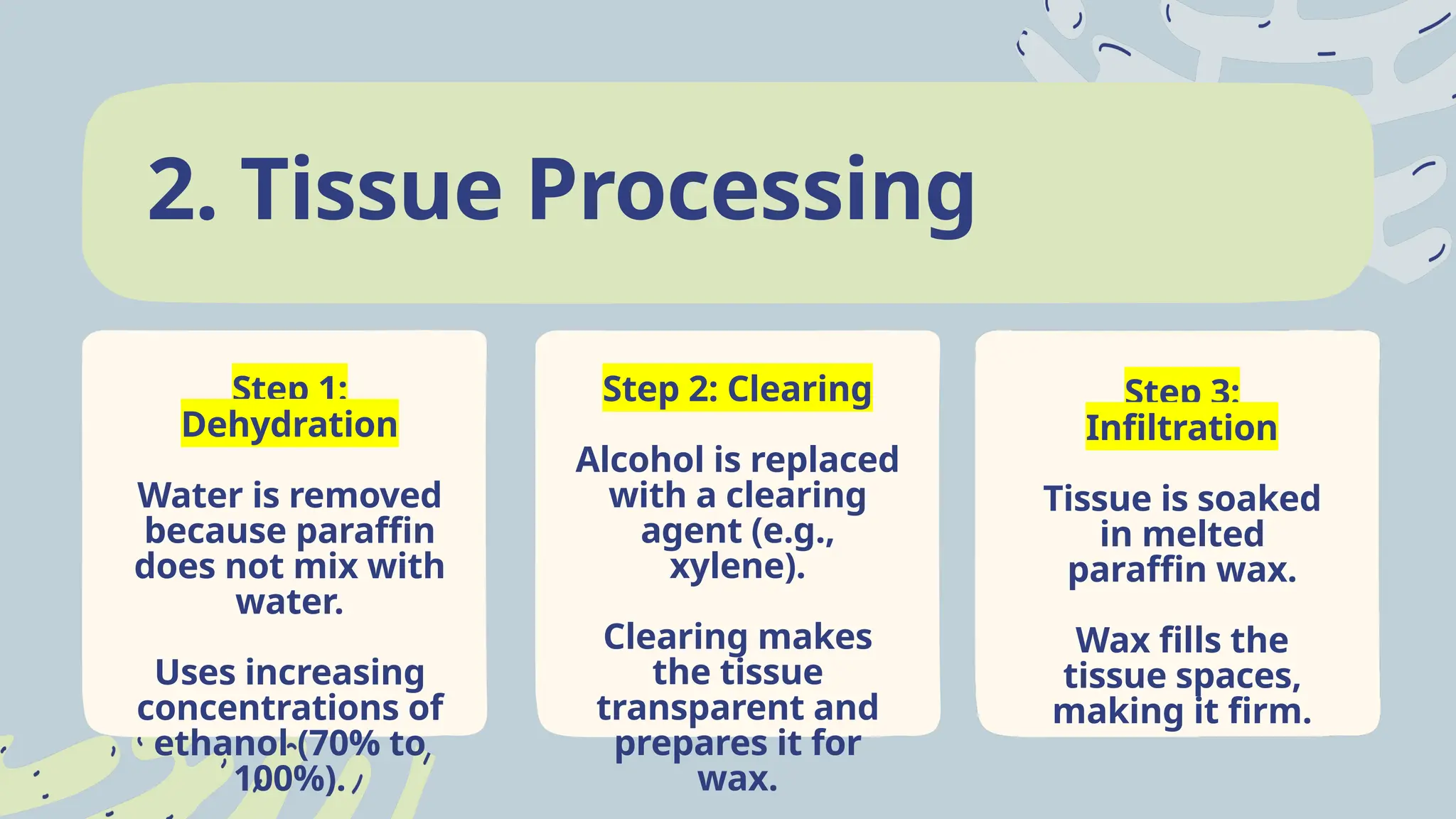 Analytical present Introduction to Histotechnique and Tissue Staining.pptx