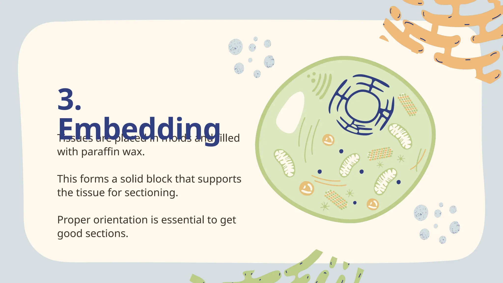 Analytical present Introduction to Histotechnique and Tissue Staining.pptx