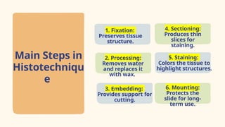 Analytical present Introduction to Histotechnique and Tissue Staining.pptx