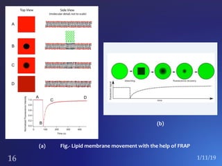 FRET, FRAP, TIFR MICROSCOPY | PPTX