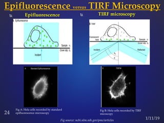 FRET, FRAP, TIFR MICROSCOPY | PPTX