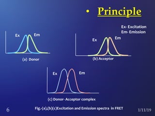 FRET, FRAP, TIFR MICROSCOPY | PPTX
