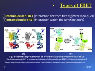 FRET, FRAP, TIFR MICROSCOPY | PPTX