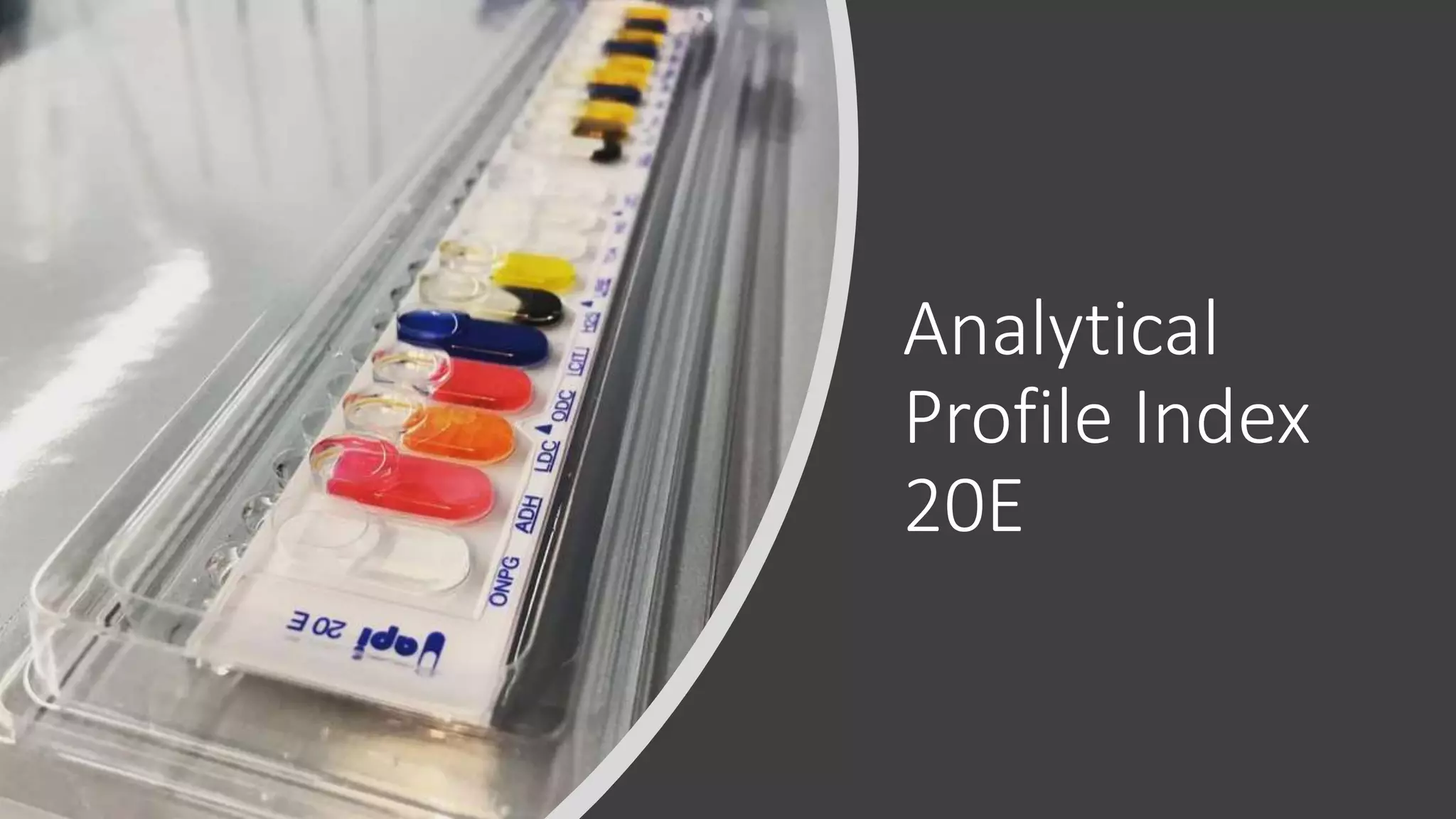 Analytical Profile Index 20E.pptx