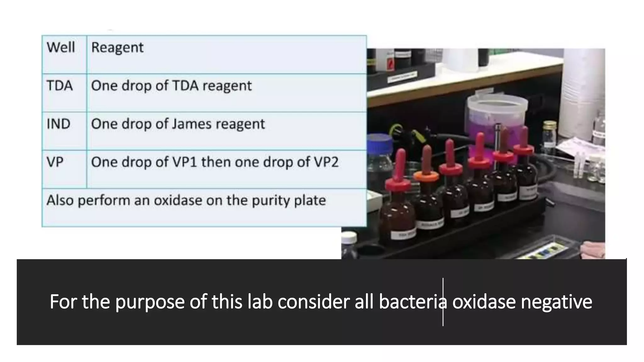Analytical Profile Index 20E.pptx