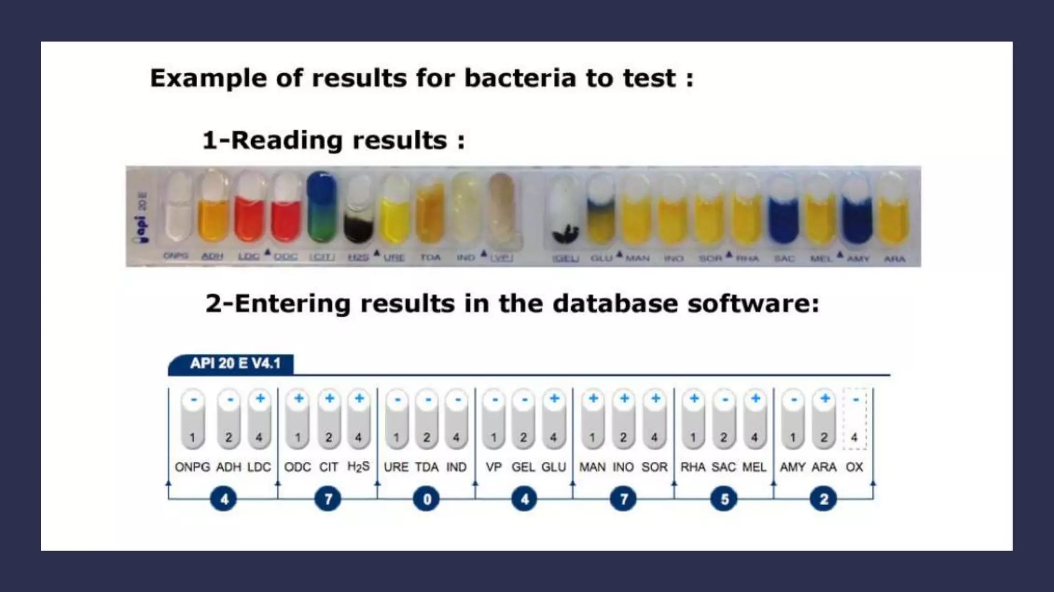 Analytical Profile Index 20E.pptx