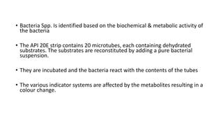 Analytical Profile Index 20E.pptx