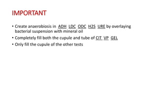 Analytical Profile Index 20E.pptx