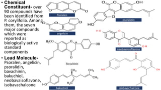 Analytical profile of medicinal plant by Puja Ghosh | PPTX