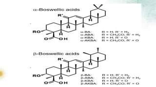 ANALYTICAL PROFILE OF HERBAL DRUGS SHAHEEN.pptx