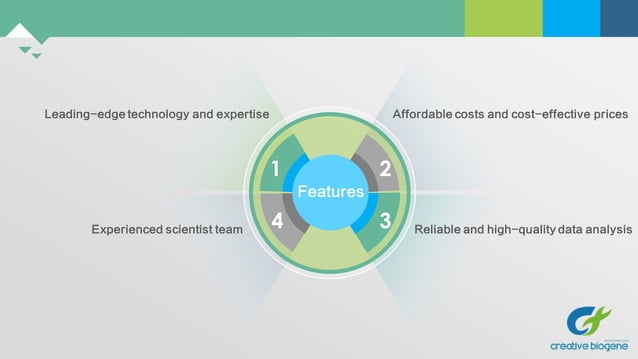 Analytical testing services | PDF