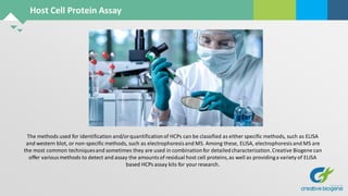 Analytical testing services | PDF